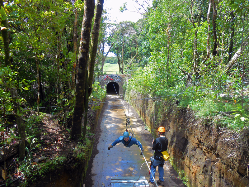 Monteverde Extremo Zipline Canopy Tour | Monteverde Tours