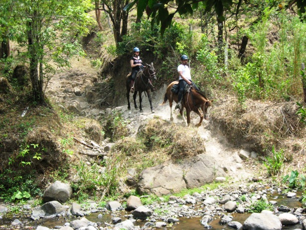 Horseback Riding Costa Rica | Monteverde Horseback Riding